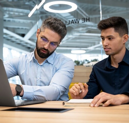 IT Consulting